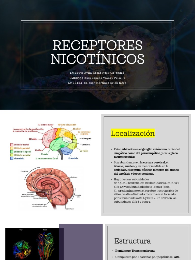 Receptores Nicotinicos | PDF | Neurociencia | Señal telefónica