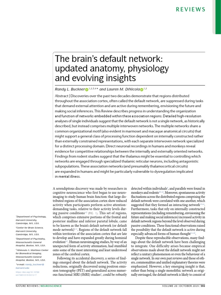 Brains Default Network | PDF | Brain | Visual Cortex