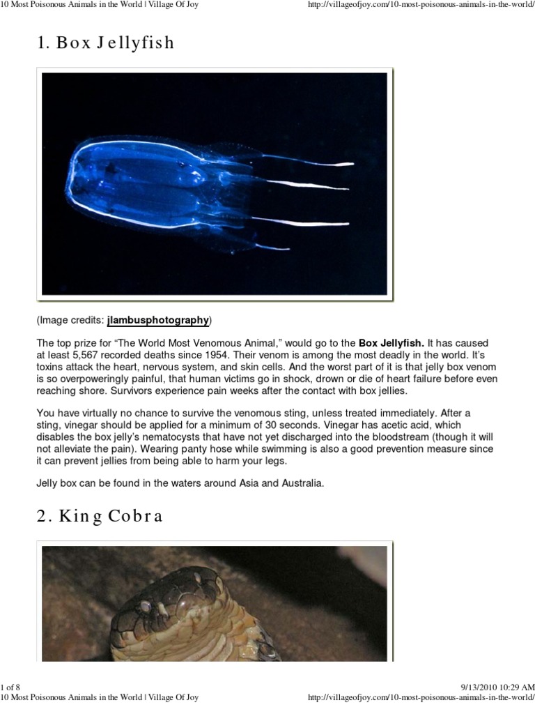 Top 10 Most Poisonous Animals | PDF | Venom | Organisms