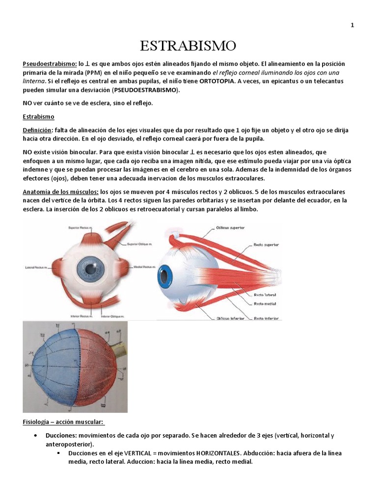 ESTRABISMO | PDF | Percepción visual | Oftalmología