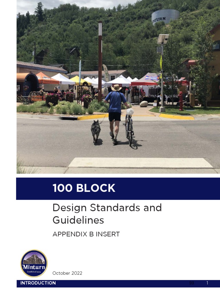 100 Block Design Standards Overview | PDF | Sidewalk | Street