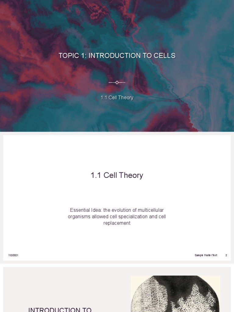 PowerPoint On Cell Theory Topic 1.1 IB Biology | PDF | Cell (Biology ...