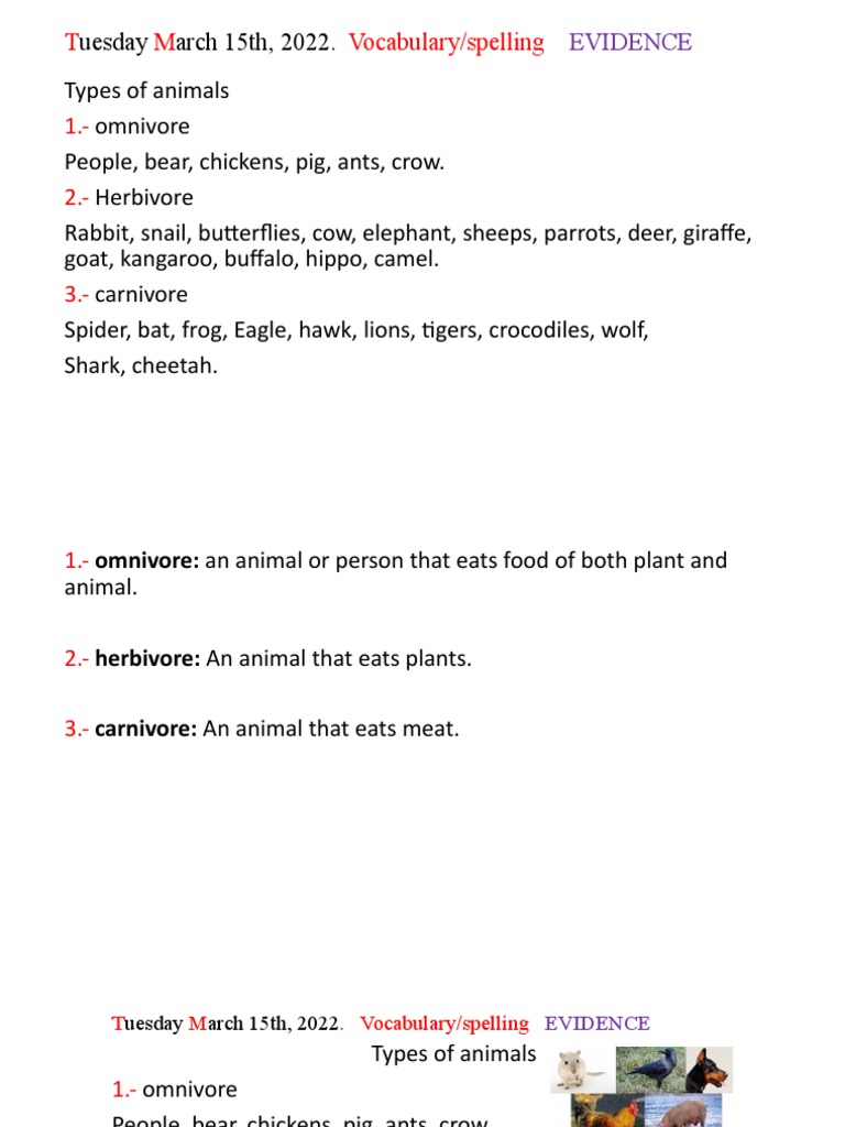 Types of Animals Unit 6 | PDF
