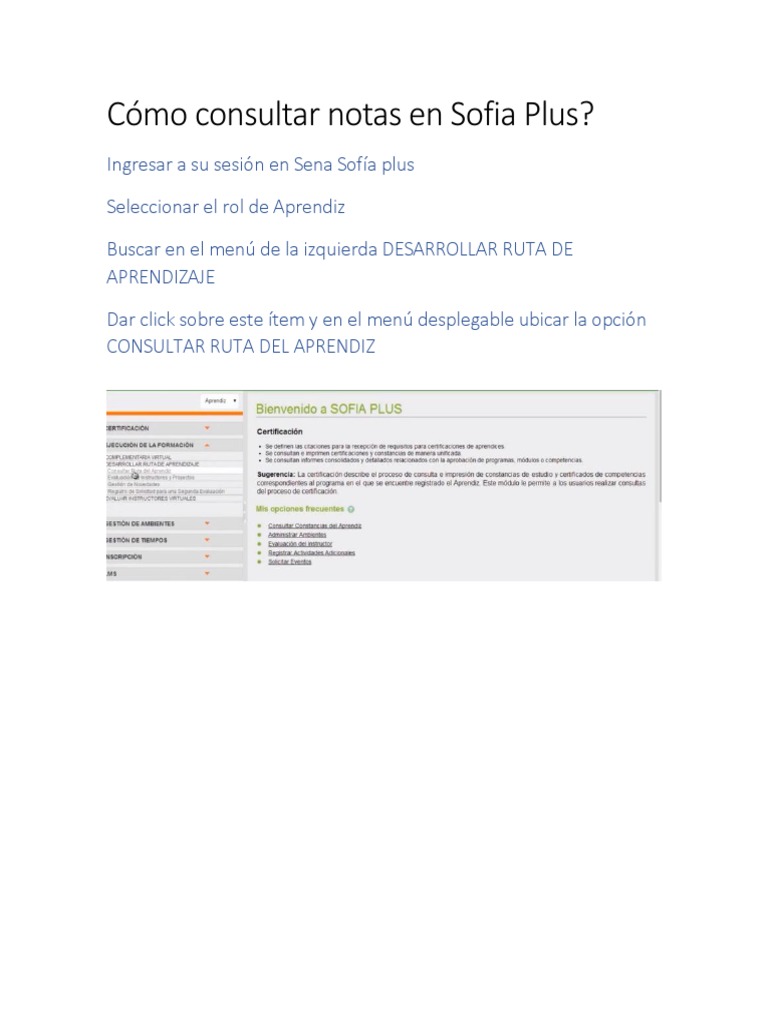 Consultar notas en Sofia Plus | PDF
