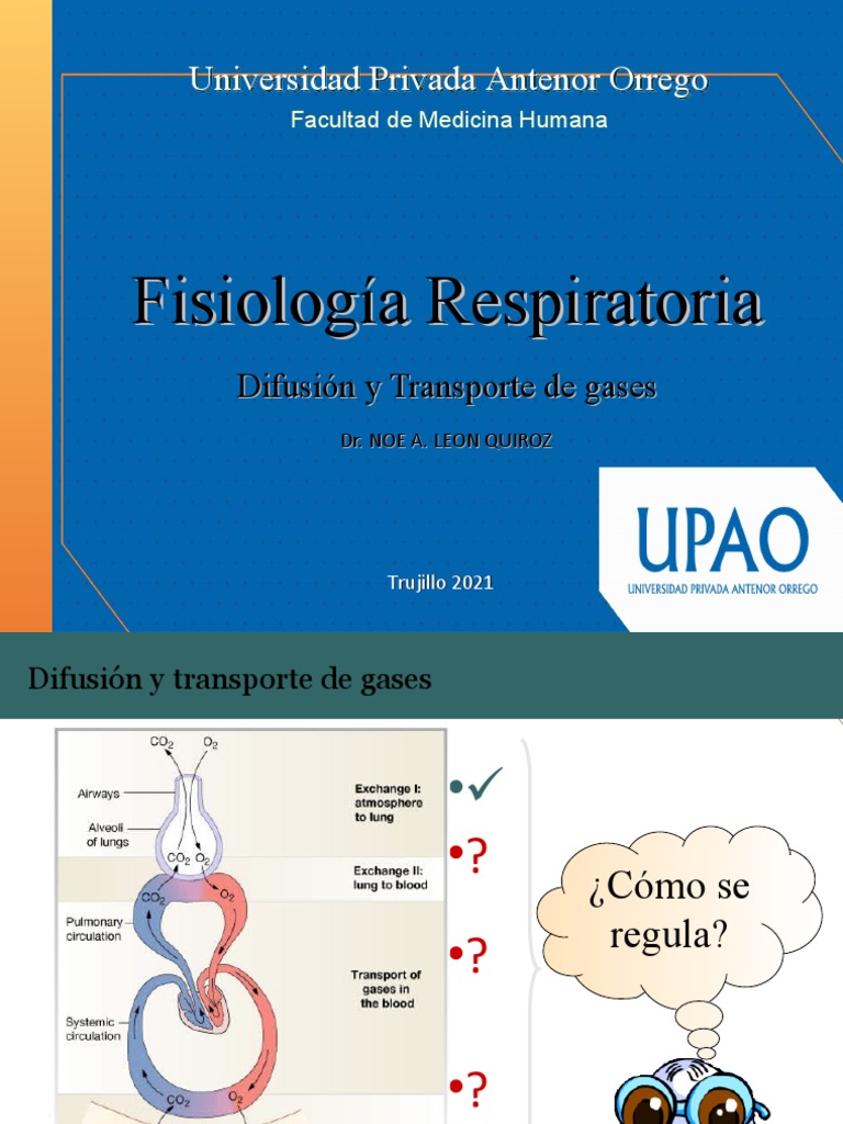 TEORIA 7 - Difusión y Transporte de Gases | PDF | Pulmón | Vena