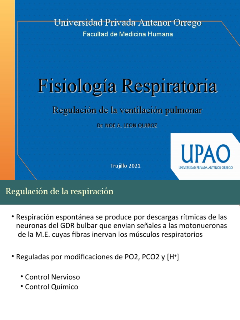 TEORIA 8 - Regulación de La Ventilación Pulmonar | PDF | Sistema respiratorio | Respiración