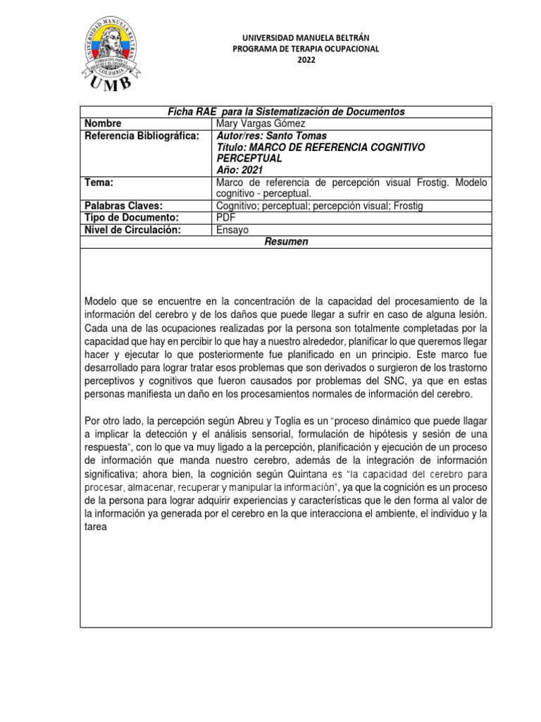 RAE Marco de Referencia de Percepción Visual Frostig | PDF