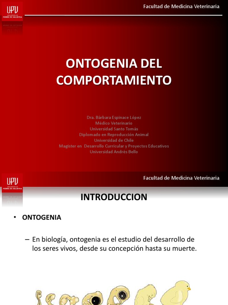 Ontogenia del Comportamiento Animal | PDF | Aprendizaje | Evolución