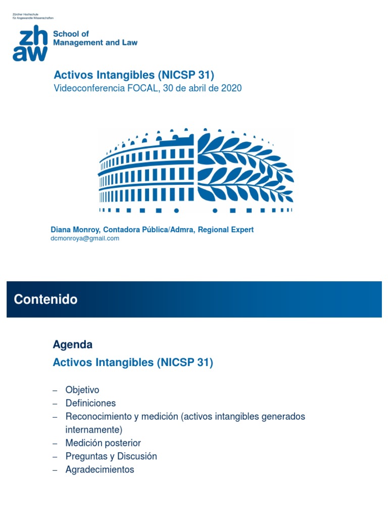 Presentación NICSP 31 - Activos Intangibles (30!04!2020) Diana Monroy ...