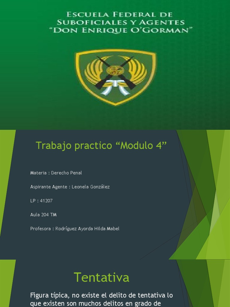 TP - Modulo 4 | PDF | Derecho penal | Queja