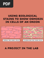 Osmosis Red Onion Cells | PDF | Osmosis | Biology