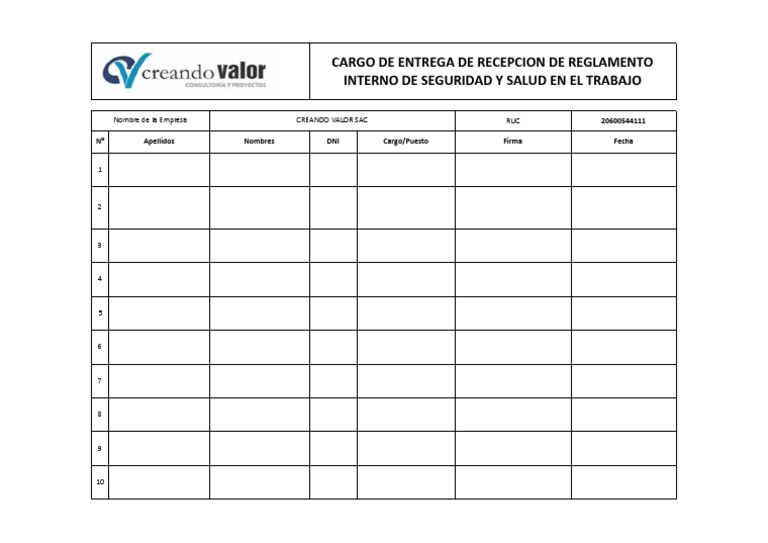 Formato Cargo RISST | PDF