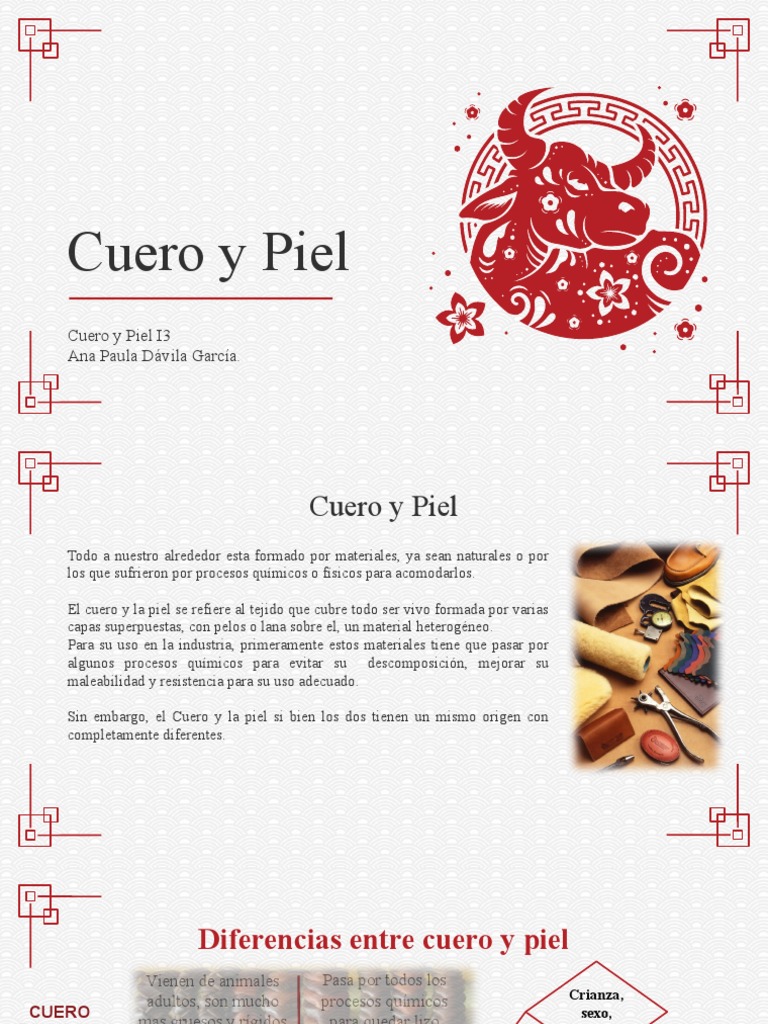 Cuero y Piel | Descargar gratis PDF | Cuero | Piel