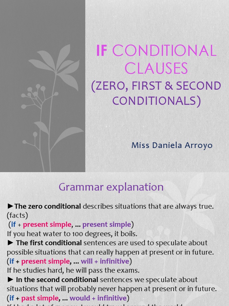 If Conditional Clauses | PDF | Linguistics | Grammar