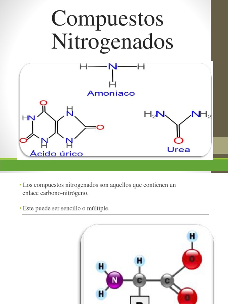 Metabolismo de Compuestos Nitrogenados | PDF | Metabolismo | Digestión