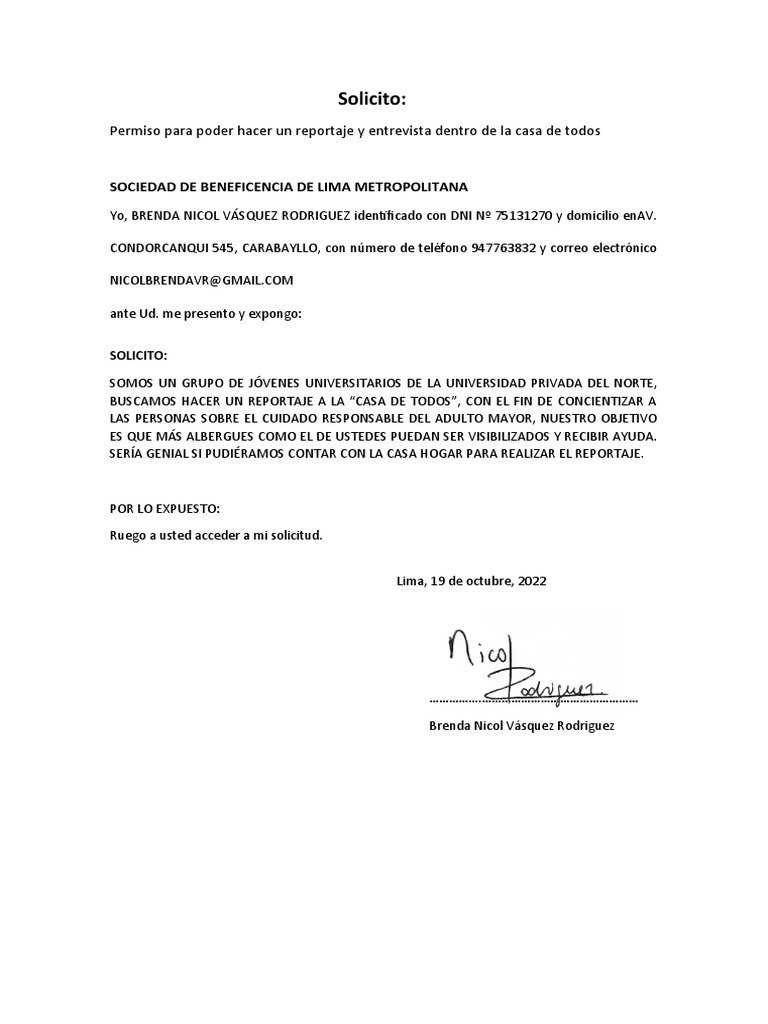 Modelo de Solicitud | PDF