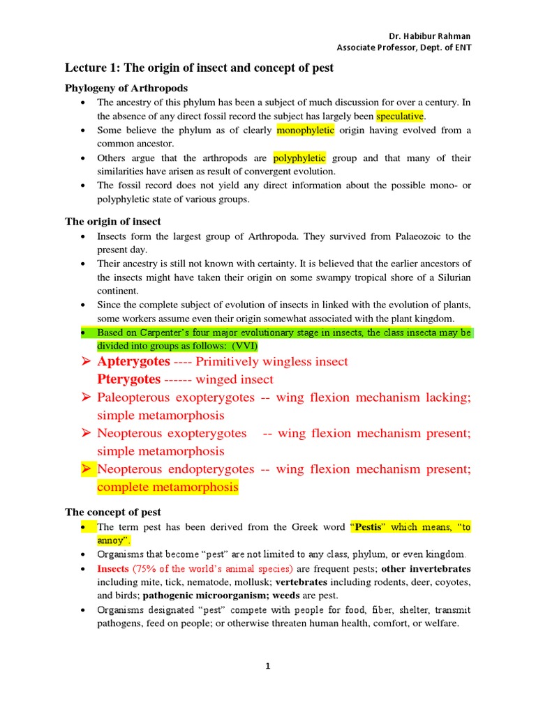 Insect Origins and Pest Concepts | PDF | Pest (Organism) | Insects