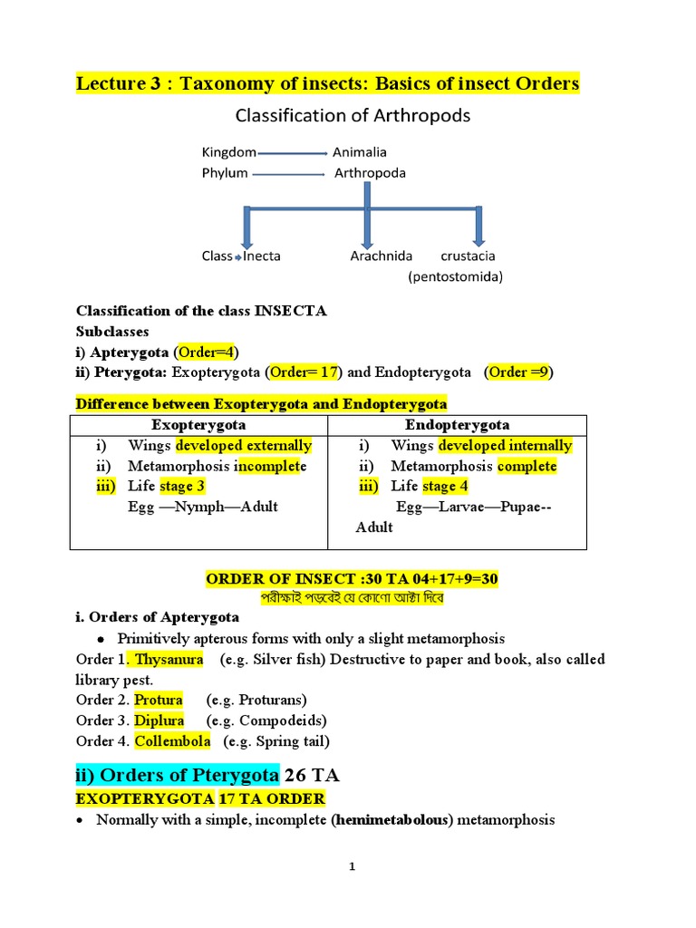 Lecture 3 Taxonomy of Insects and Basics of Insect Orders | PDF ...