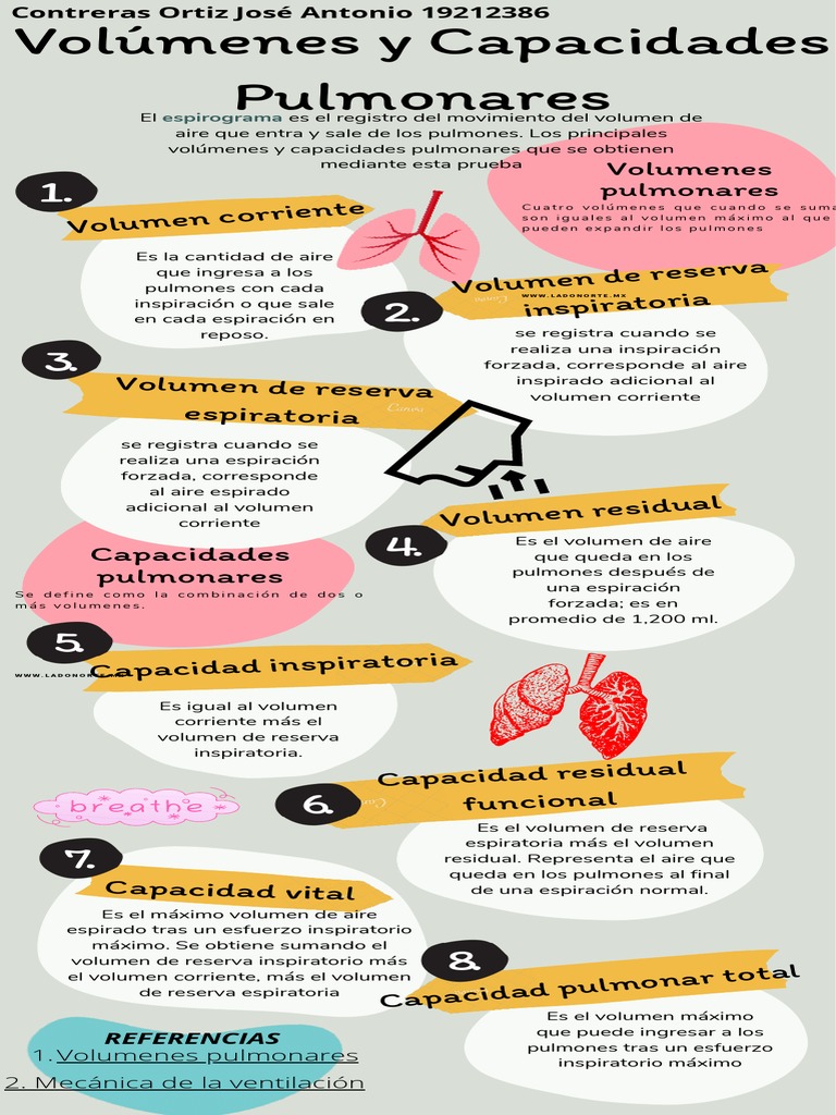 3.2 Volúmenes y Capacidades Pulmonares) | PDF | Pulmón | Anatomía