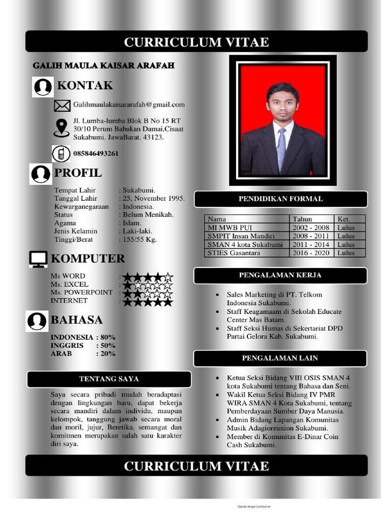 CV Abang | PDF