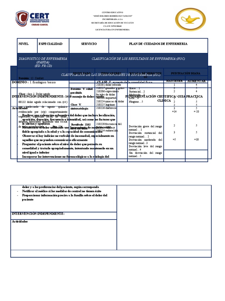 Formato Place 2022 | Descargar gratis PDF | Dolor | Medicina