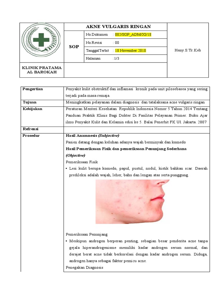 MENGEMBANGKAN PENGETAHUAN TENTANG AKNE VULGARIS RINGAN | PDF