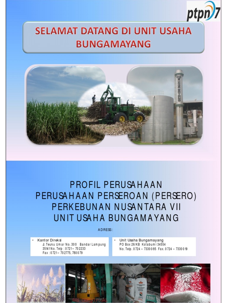 Profil Pabrik Gula Bungamayang | PDF