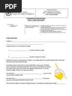 UT ADaPT_Protocol_Provider Manual 10.9.24 | PDF | Heart Rate | Chronic ...