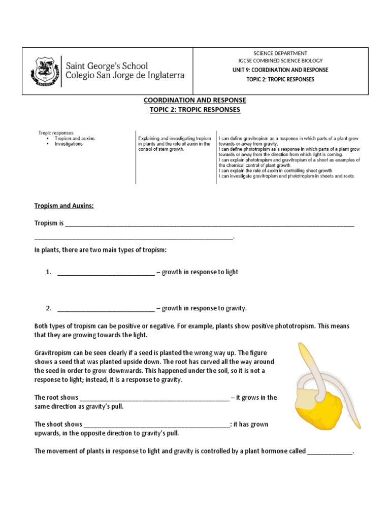 IGCSE COMBINED SCIENCE BIOLOGY UNIT 9 TOPIC 2 TROPIC RESPONSES | PDF ...