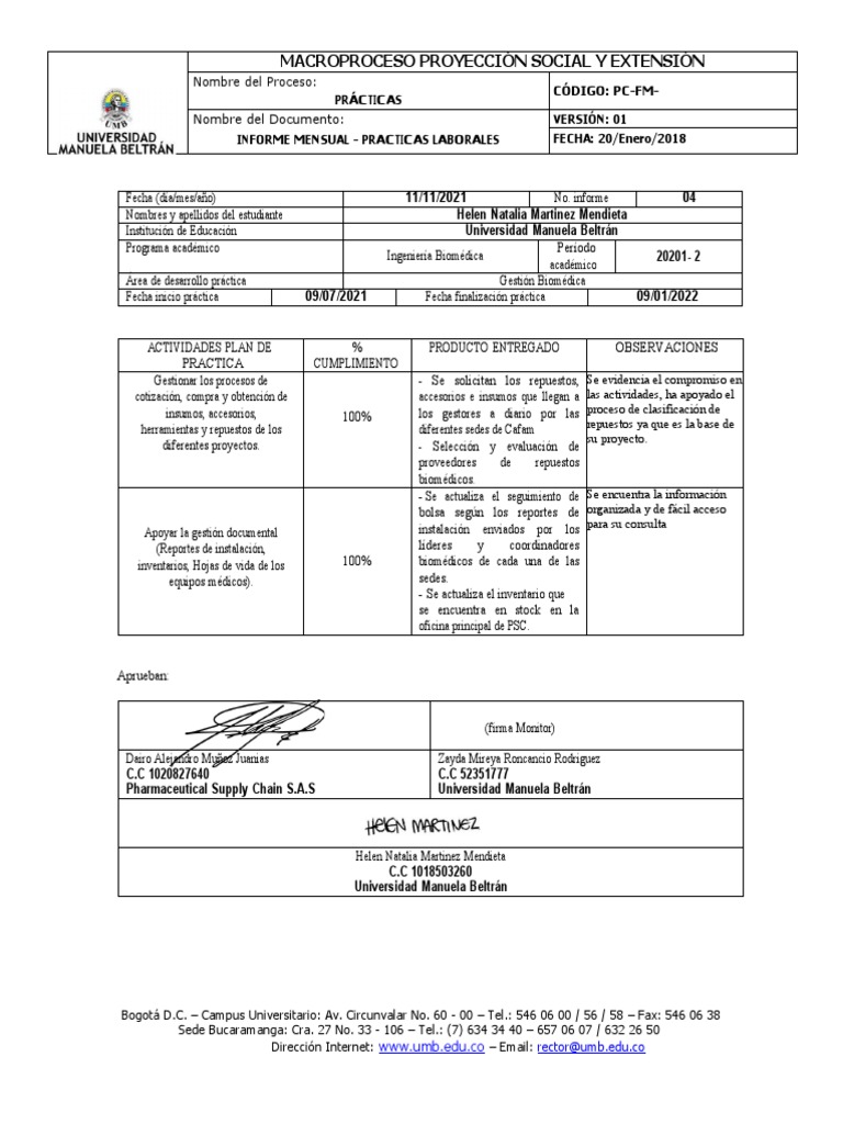 Formato Informe Mensual 4 | PDF