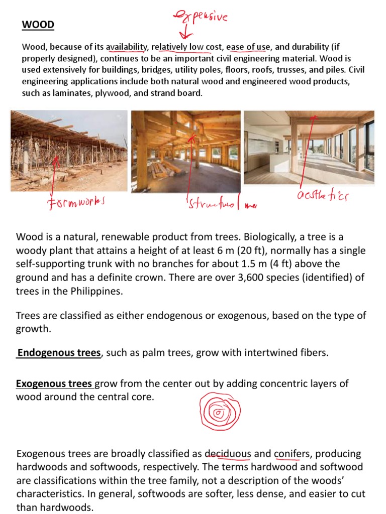 Wood Types and Properties Overview | PDF | Wood | Trees