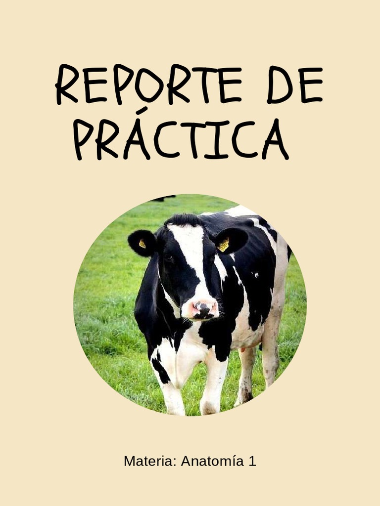 Reporte de Práctica - Compressed | PDF | Términos anatómicos de ...