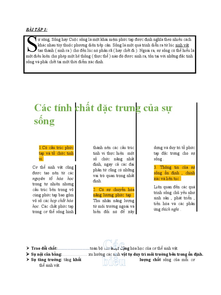 BT Word CNTT Coban | PDF