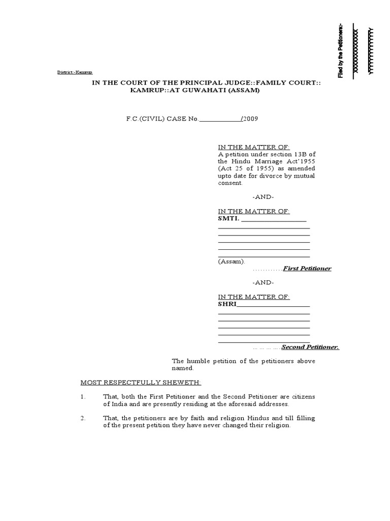 Petition For Divorce by Mutual Consent Before The Principal Judge ...