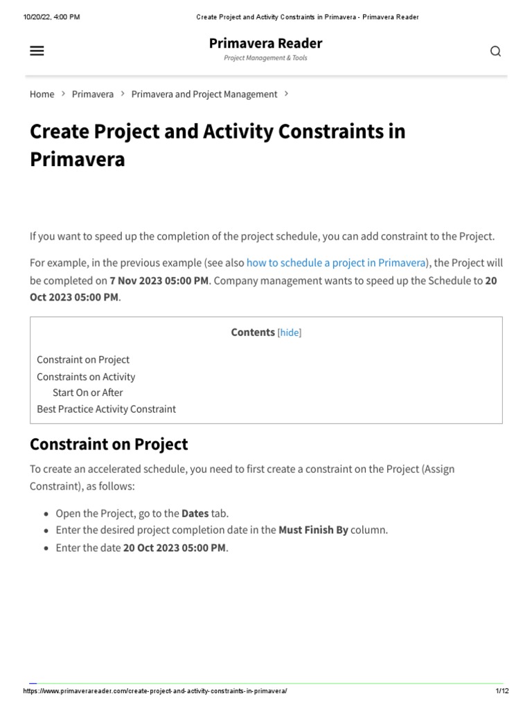 Create Project and Activity Constraints in Primavera | Download Free PDF | Software Engineering ...