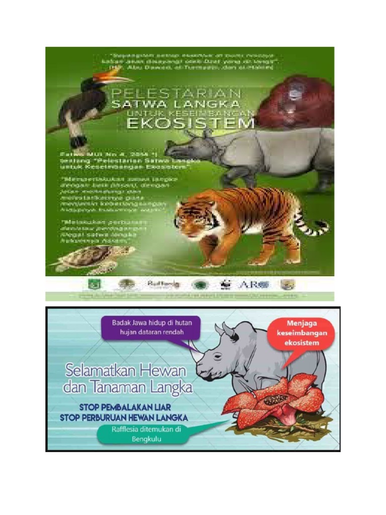 Poster Binatang | PDF