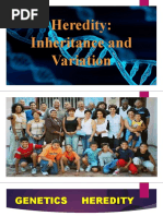 Biology Vocabulary Glossary | PDF | Cell (Biology) | Genetics