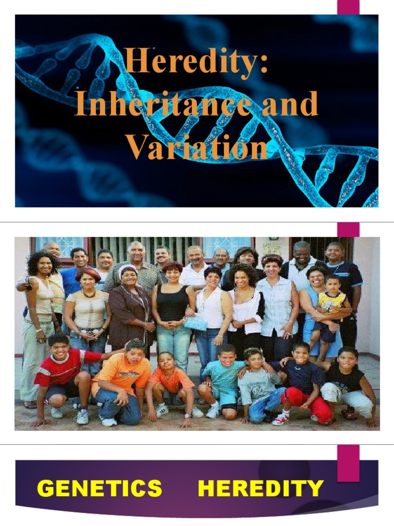 Heredity and Genetics Explained | PDF | Dominance (Genetics) | Heredity