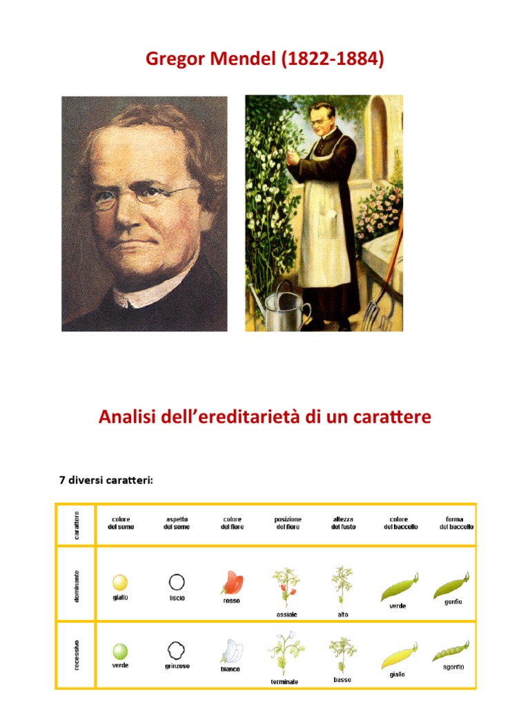 2 Mendel Con Esercizi | PDF