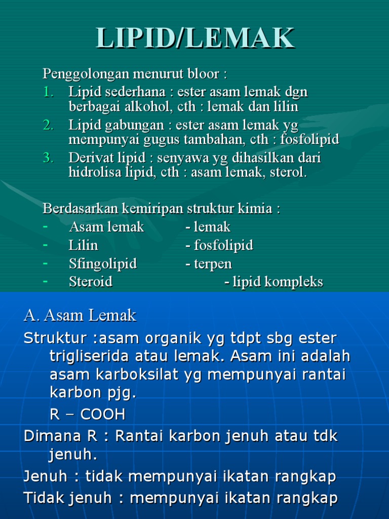 Lipid or Lemak | PDF