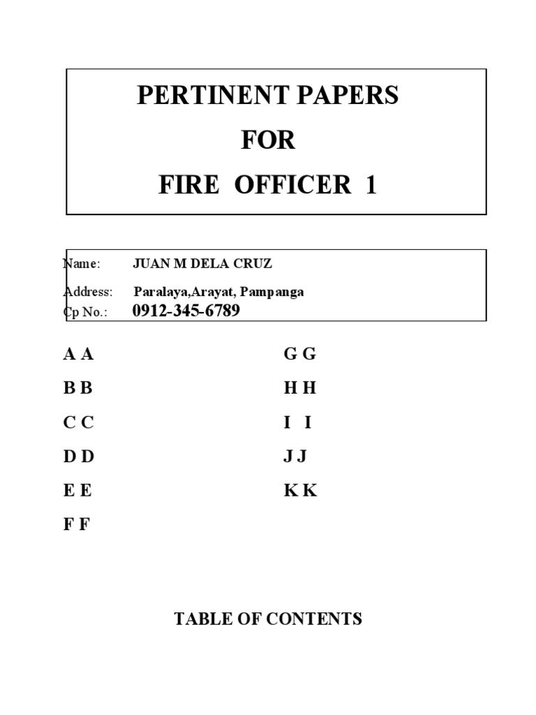 BFP Application Folder Contents 2024 | PDF