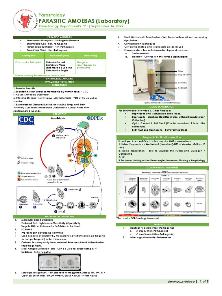 PARASITIC AMOEBAS (Lab) | PDF | Clinical Medicine | Organisms