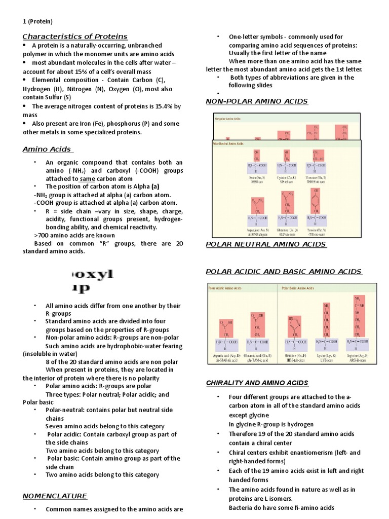 Summary of Proteins (Biochemistry) | PDF