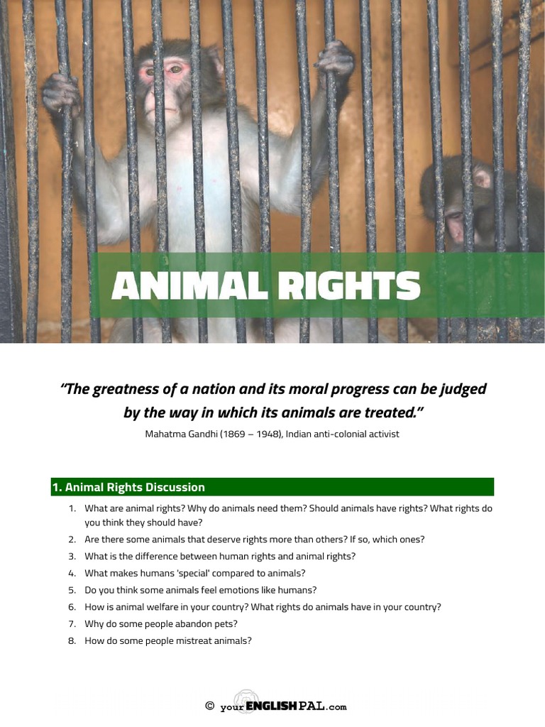 Animal Rights Lesson Plan | PDF | Animal Testing | Animal Rights