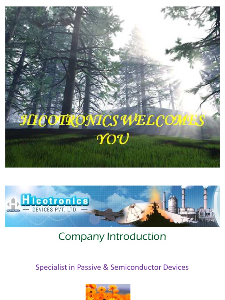 Company Presentation | PDF