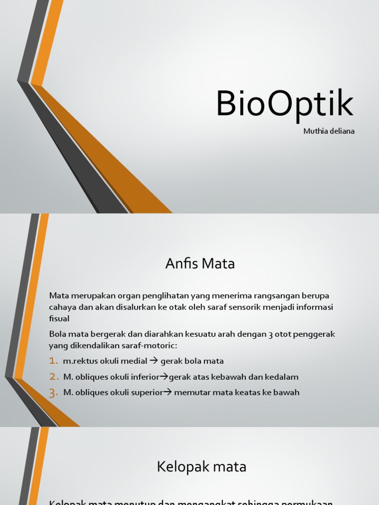 Bio Optik | PDF