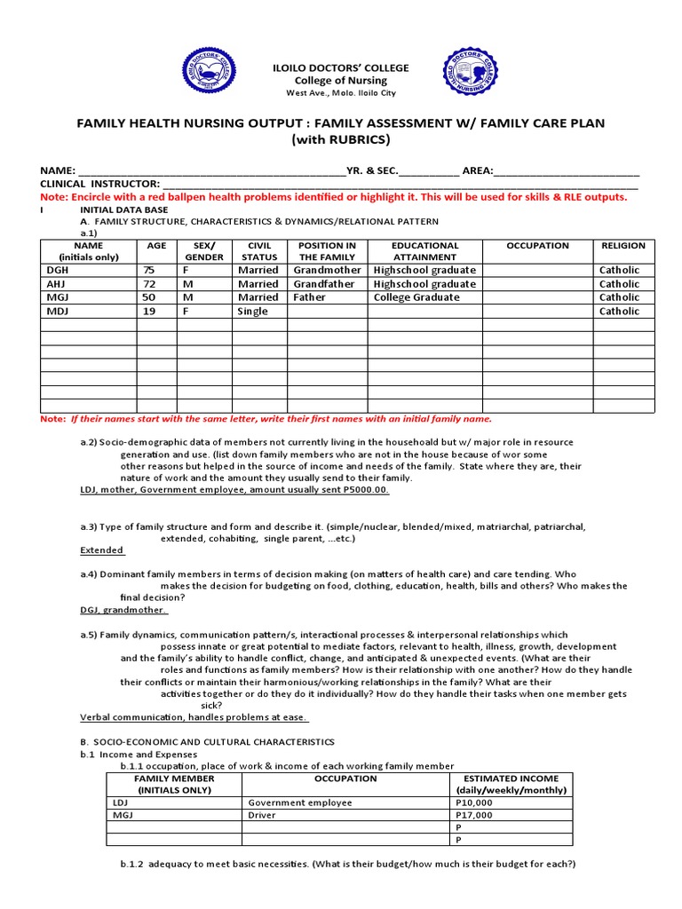 4 FCP Format | Download Free PDF | Public Health | Health Care