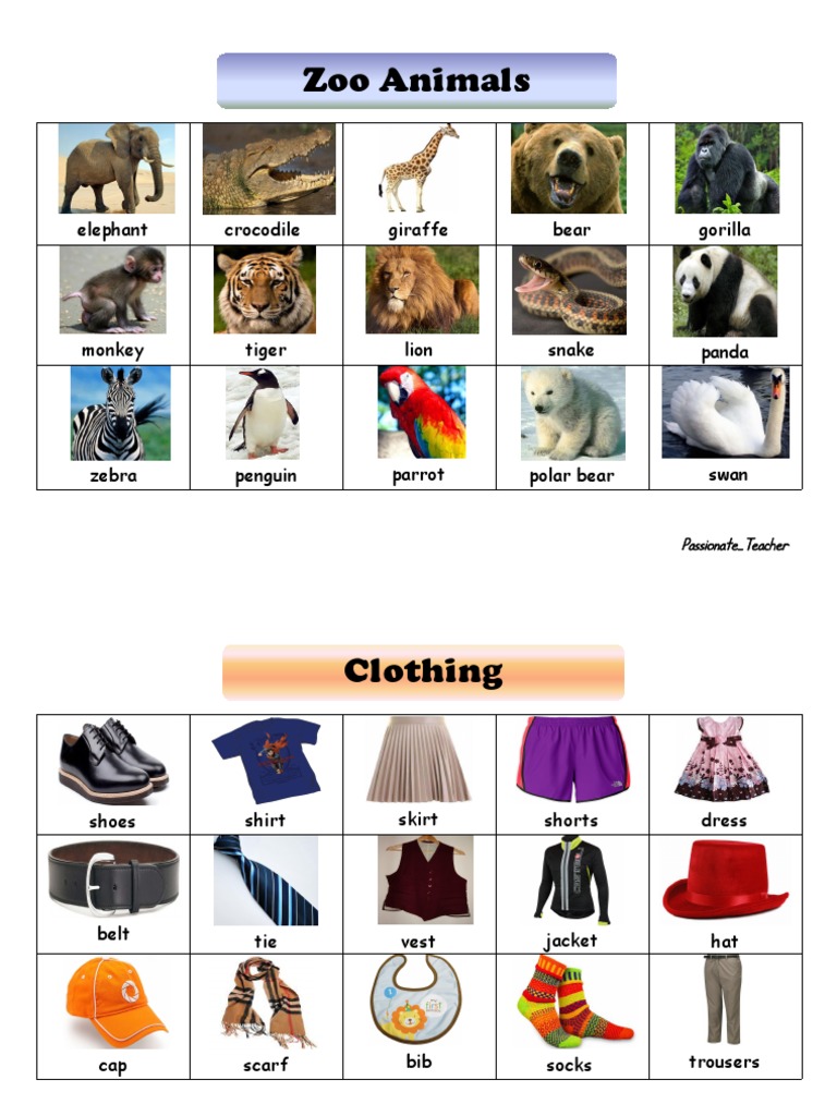 Picture Dictionary | PDF