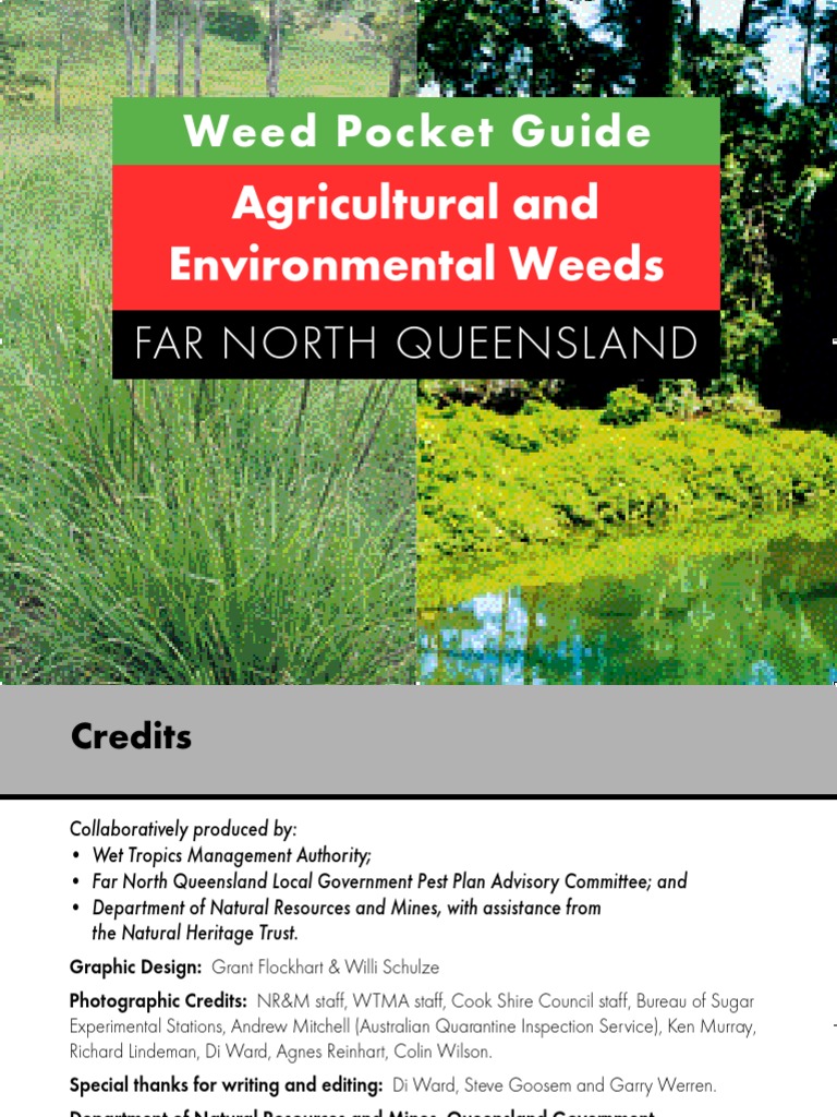 Weed Pocket Guide For Far North Queensland | PDF | Trees | Leaf