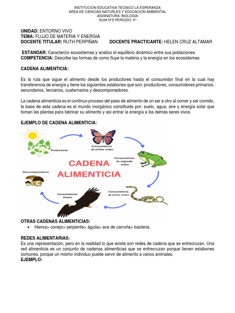 Guía de Ecosistemas y Energía | PDF | Ecología | Red alimentaria